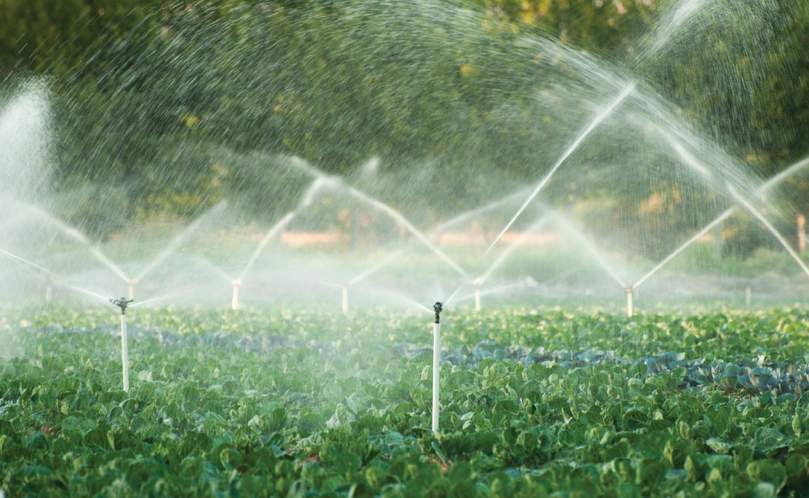Turnkey Solutions - Total Irrigation and Solar Solutions - HSI