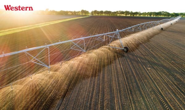 Center Pivot System - WESTERN CP600 - Large Area Irrigating Machine