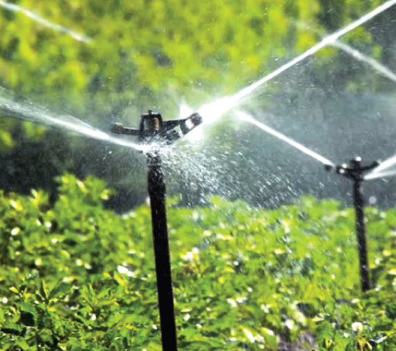 Sprinkler system - Portable Sprinklers - Haji Sons International